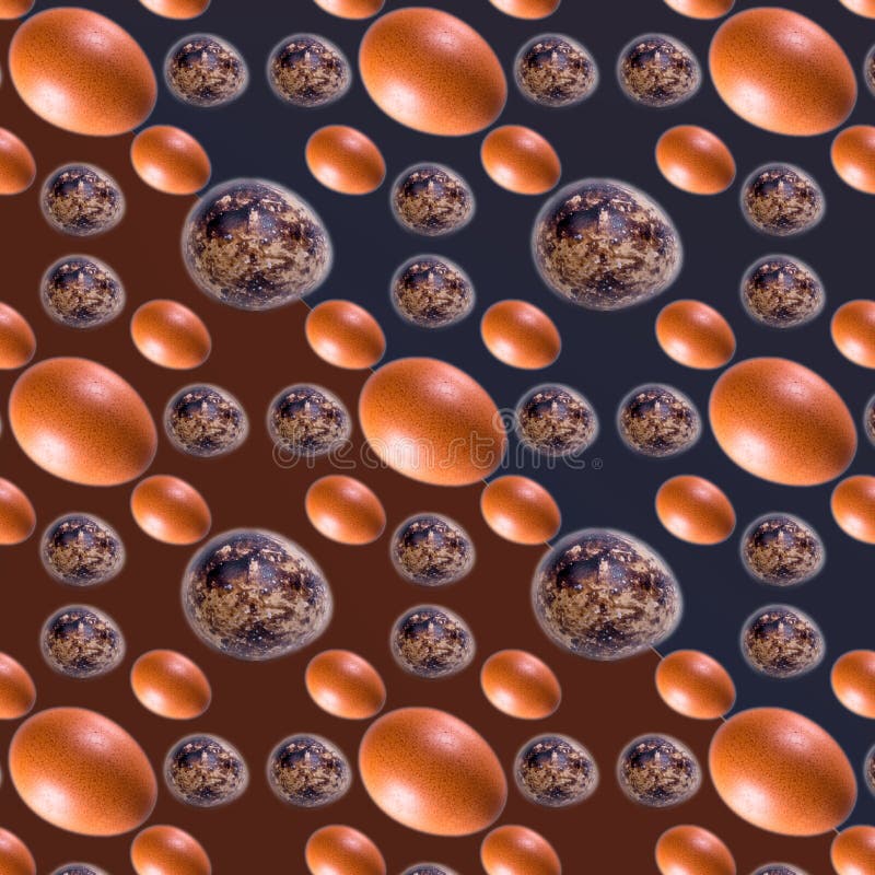 Chicken Eggs Quail Vector Seamless Pattern Stock Photos - Free ...