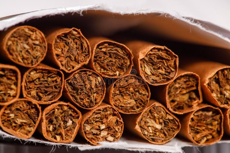 Brown Cigarettes in a Pack Close-up. Horizontal Frame Stock Image ...