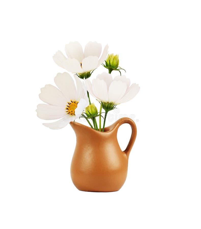 Brown Clay Jug with Cosmos Flowers Stock Image - Image of culture ...
