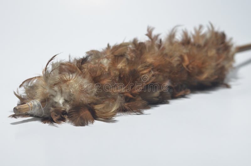 Brown Cleaning Feather Duster Isolated on White Background Stock Image ...