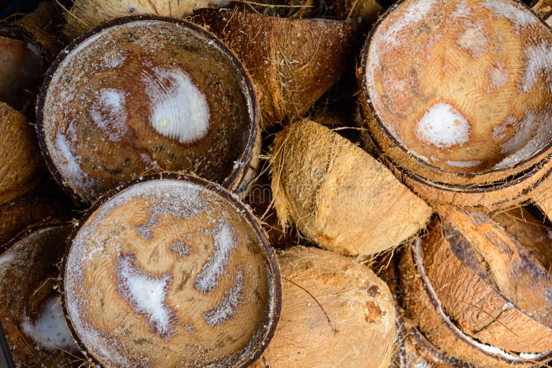 Coconut shell texture stock image. Image of fresh, texture - 5756889