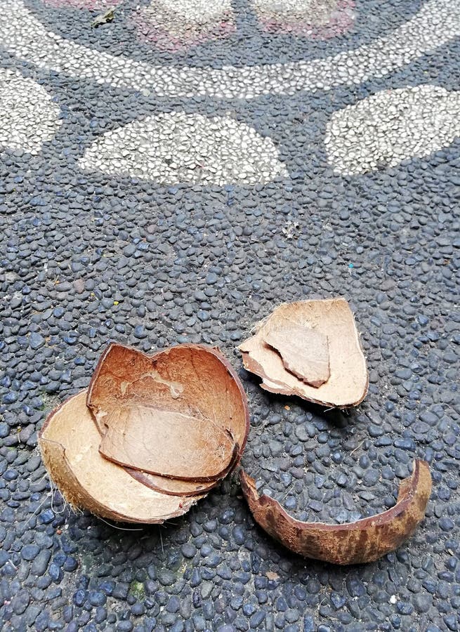 Brown Coconut Shell,placed on Stone Floor Stock Photo - Image of ...
