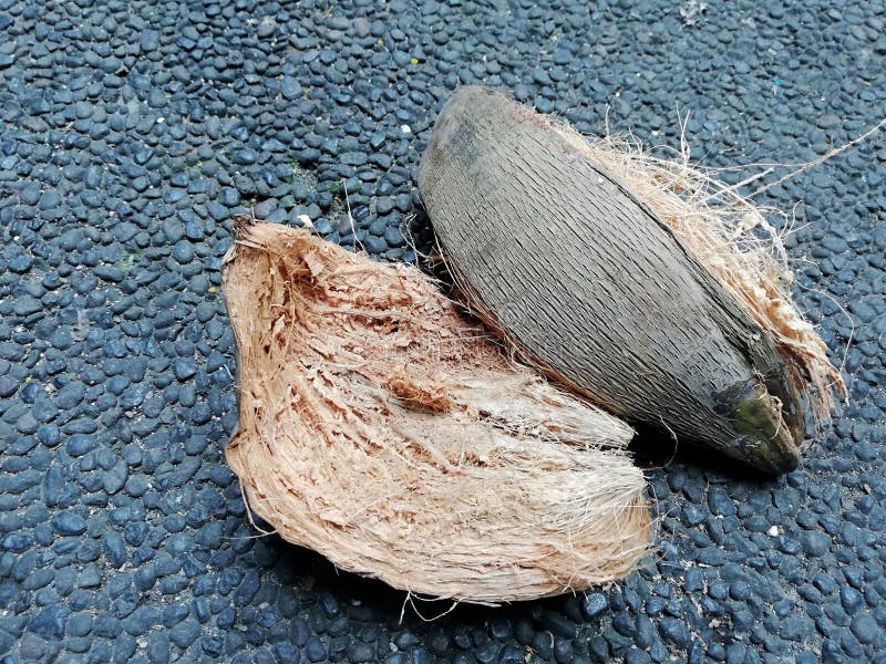 Brown Coconut Shell,placed on Stone Floor Stock Photo - Image of ...