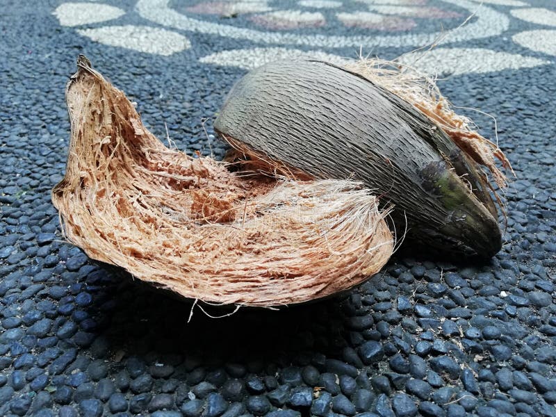 Brown Coconut Shell,placed on Stone Floor Stock Photo - Image of ...