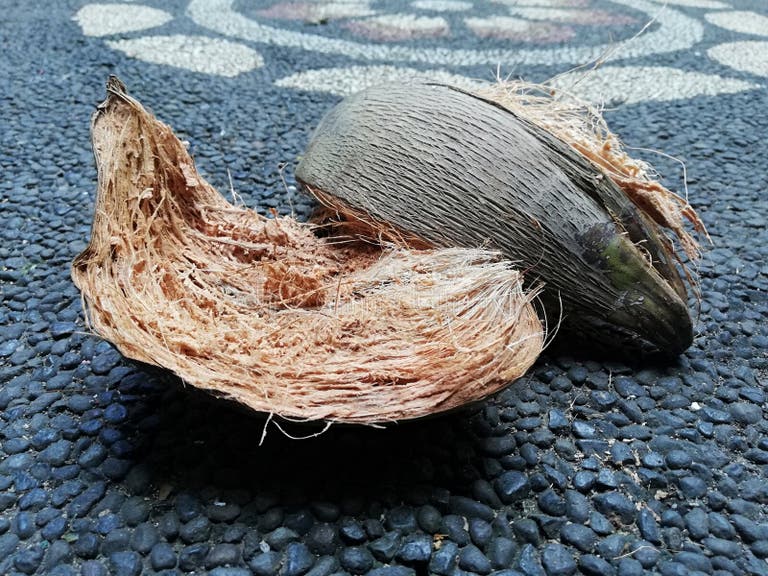 Brown Coconut Shell,placed on Stone Floor Stock Photo - Image of ...