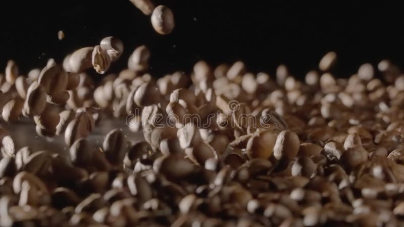 Brown Coffee Beans Shaking and Flying Up in the Air on a Black ...