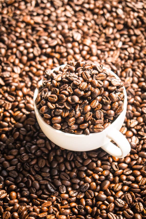 Brown Coffee Beans in White Cup Stock Image - Image of coffee, brown ...