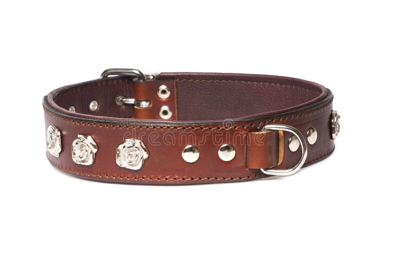 Brown Collar with Rivets Isolated on White Background Stock Photo ...