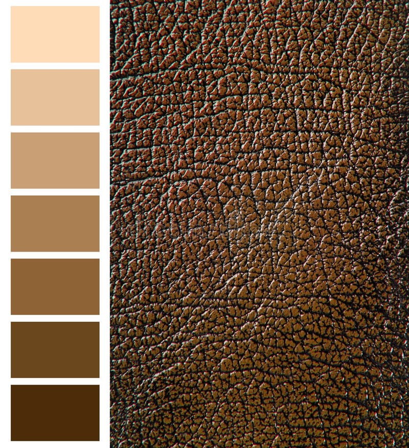 Brown Color Complimentary Chart Stock Photo - Image of idea, colour ...