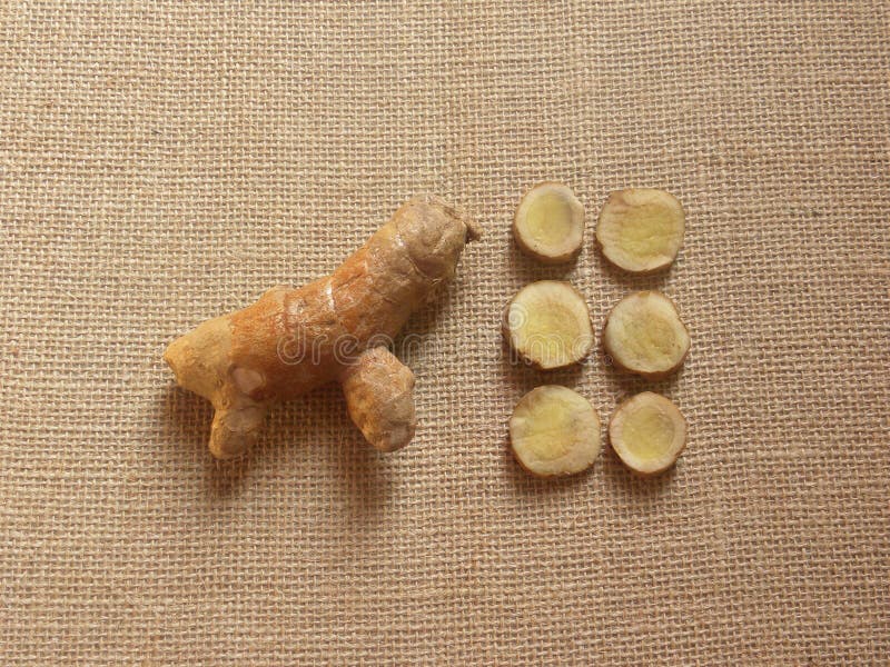 Mango ginger root stock image. Image of fresh, ginger - 170613967