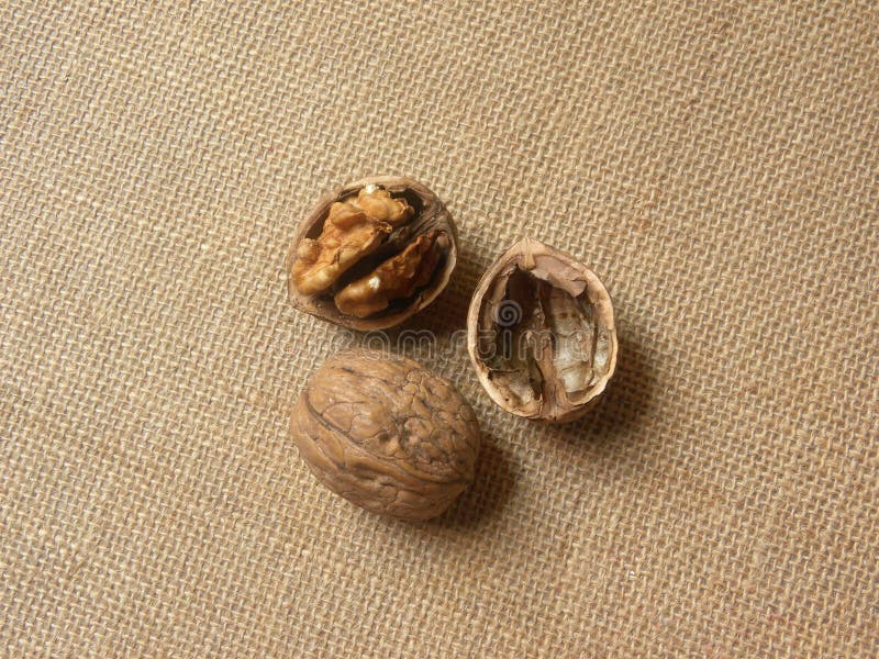 Whole and cracked Walnut stock photo. Image of ingredient - 183212836