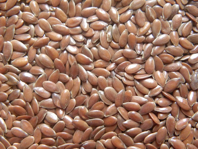 Brown Color Raw Whole Flax Seeds Stock Photo - Image of alternative ...