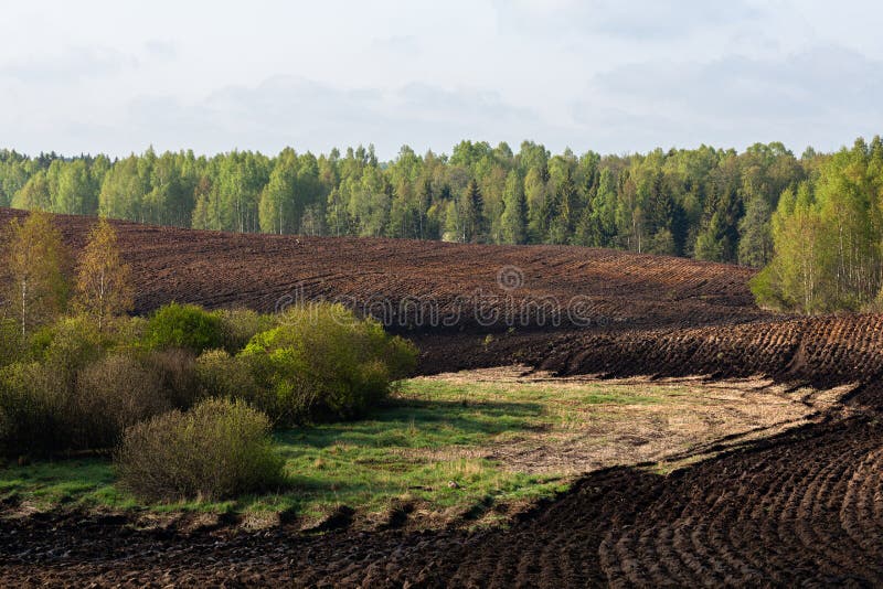Plowed field in spring stock photo. Image of brown, environment - 198298848