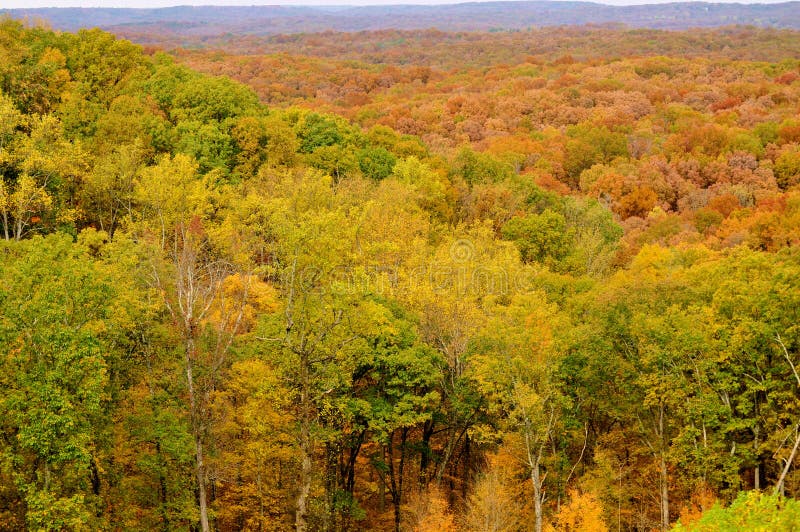 Brown County State Park stock image. Image of foliage - 33086247