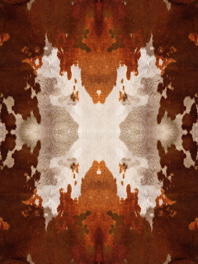 Brown Cow Hide Pattern stock image. Image of mammal, nature - 45600369