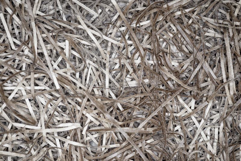 Brown Craft Paper on a Shop Window. Texture and Background. Stock Photo ...