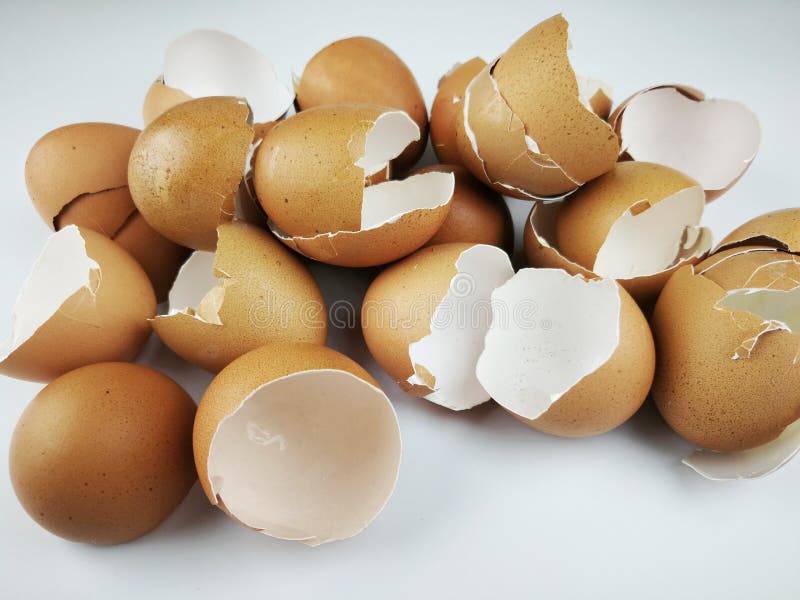 Brown and Cream Colored Egg Shells Stock Photo - Image of healthy ...