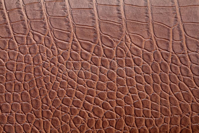 Brown Textured Crocodile Skin Stock Image - Image of texture, dark: 8165851