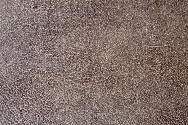 Damaged Leather Black Jacke Stock Photo - Image of mold, abstract ...