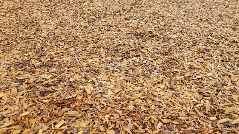 Brown Damp Wood Chips or Mulch on Ground Stock Image - Image of ...
