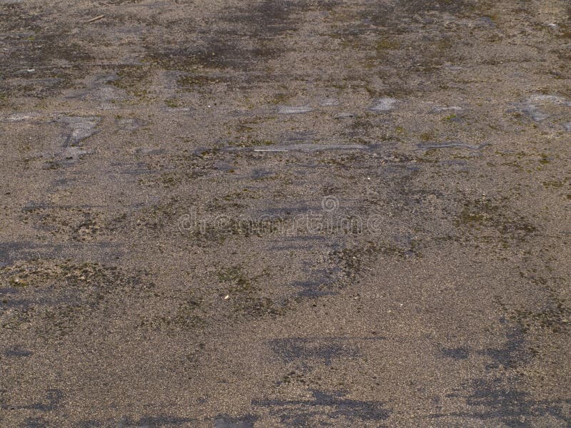 Brown Dirty Muddy Texture Background Stock Photo - Image of rough ...