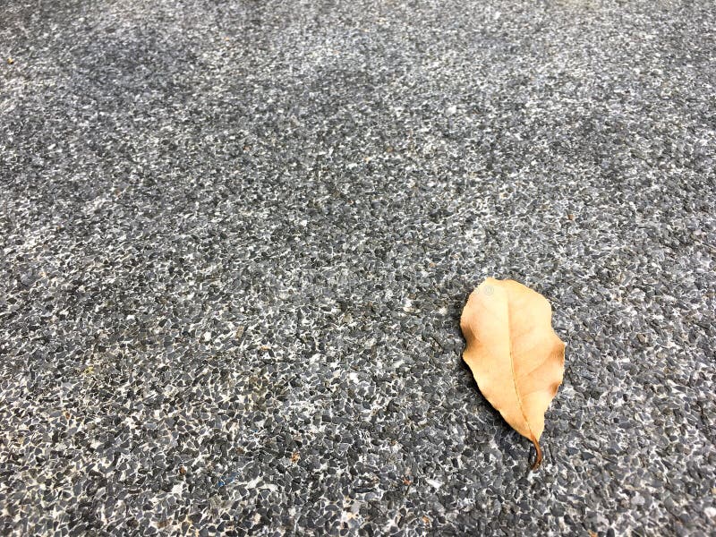 Brown Dried Leaf Drop on Grainy Stone Floor. Classic Surface Texture ...