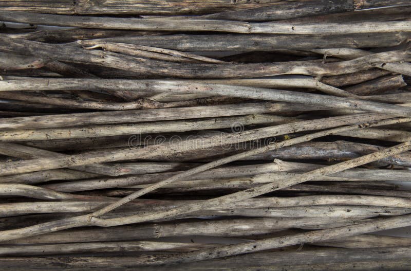 Brown dry branches texture stock photo. Image of ecology - 31335306