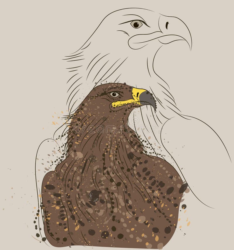 Brown eagle stock vector. Illustration of hawk, black - 54953931