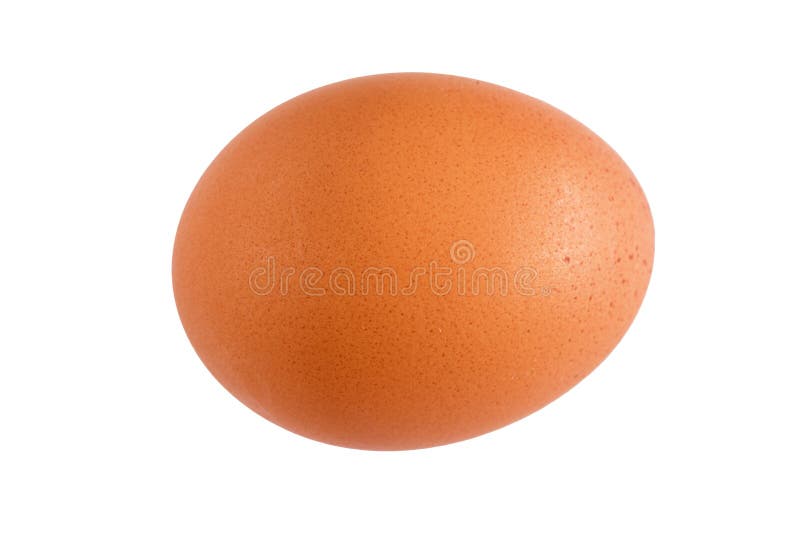 Brown Egg stock photo. Image of shell, food, isolated - 273726114