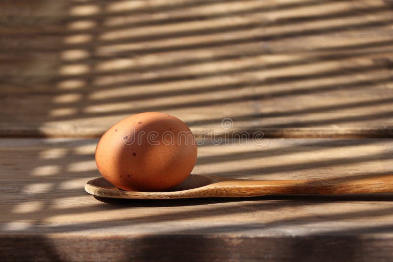 Brown Egg Lie on a Wooden Old Spoon in the Rays of Light on the Table ...