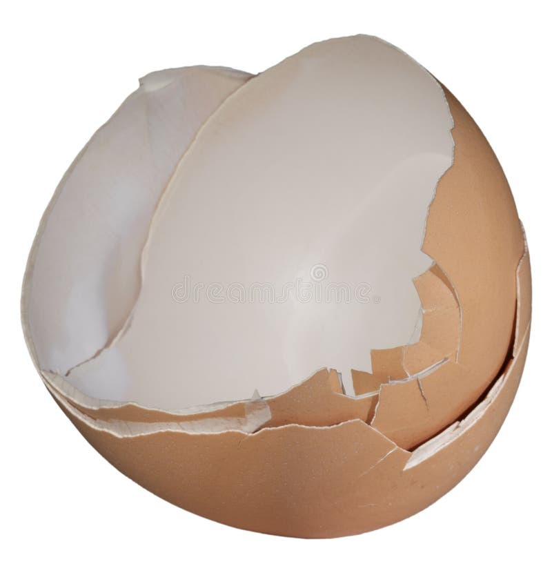 Brown Egg Shell Split in Half Stock Photo - Image of cookery, bird ...