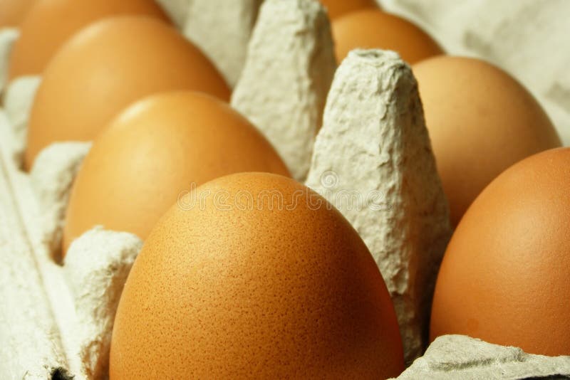 Brown eggs stock photo. Image of easter, farm, packaged - 1714948