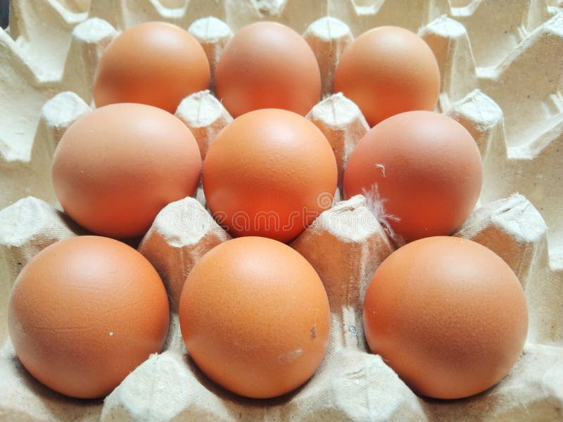 Nine Brown Eggs are Arranged in a Carton Tray. Stock Image - Image of ...