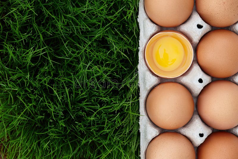 Brown eggs box in grass stock image. Image of product - 89857169