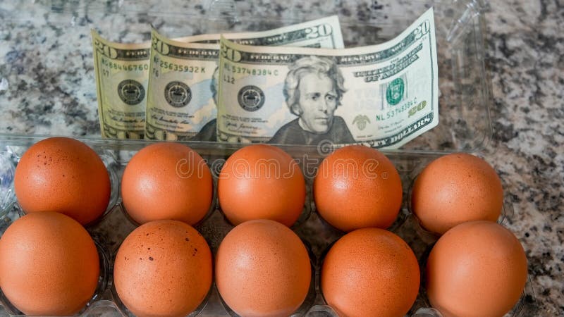 Brown Eggs in Plastic Container with Money Stock Photo - Image of ...