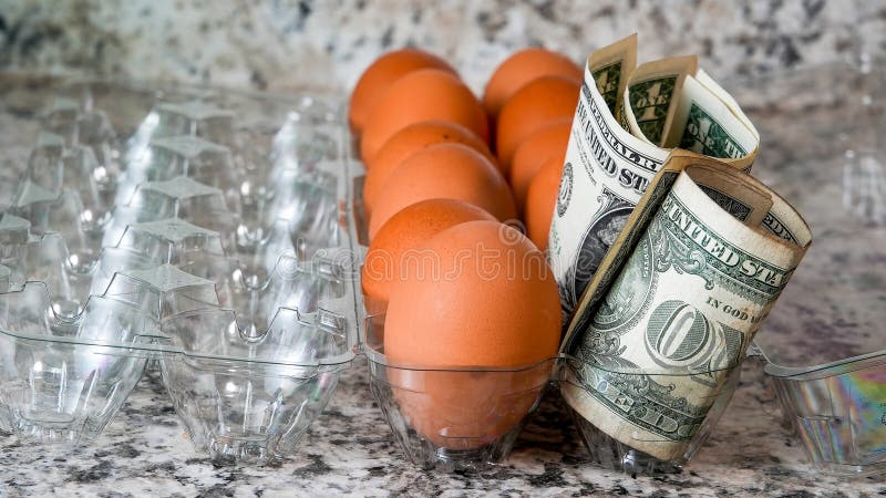 Brown Eggs in Plastic Container with Money Stock Image - Image of ...