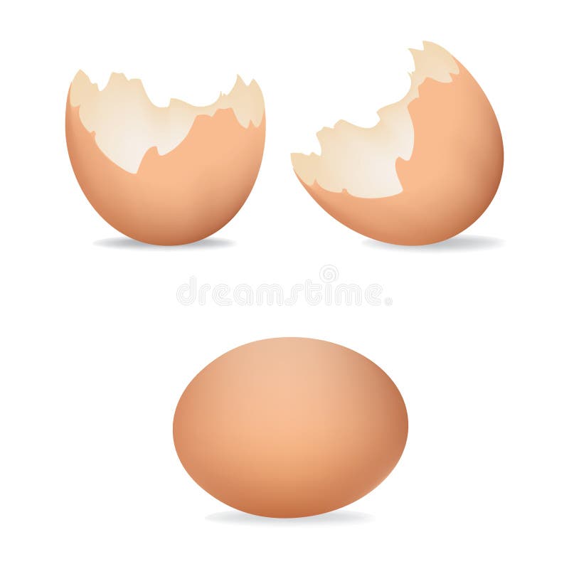 Brown Eggs Shells. Cracked Eggs. Vector Illustration. Stock Vector ...