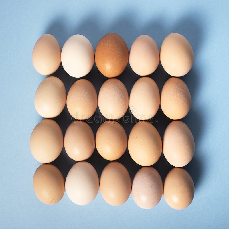 Brown Eggs in a Square on a Blue Background . Shot in the Studio Stock ...