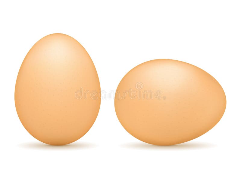 Single Yellow Daffodil, Narcissus Spring Flower with Stem and Leaves ...