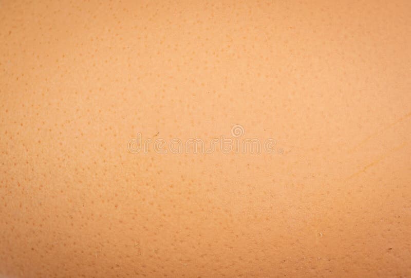 Brown Eggshell with Visible Details. Background or Textura Stock Photo ...