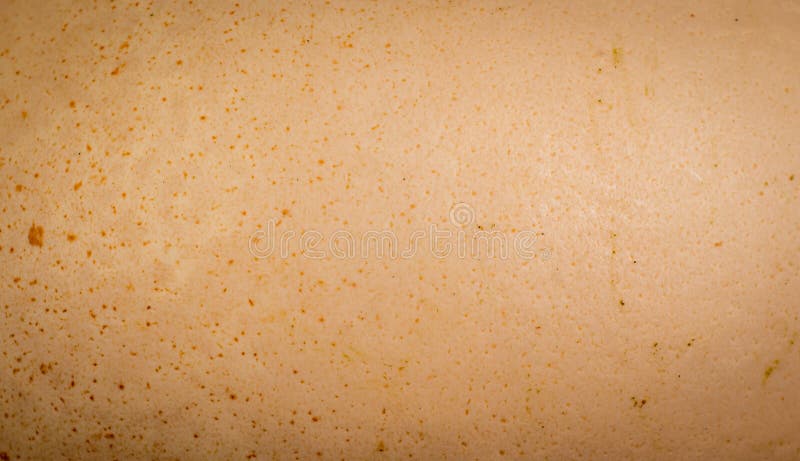 Brown Eggshell with Visible Details. Background or Textura Stock Image ...
