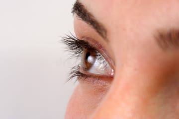 Brown eye stock photo. Image of digital, brown, people - 1516176