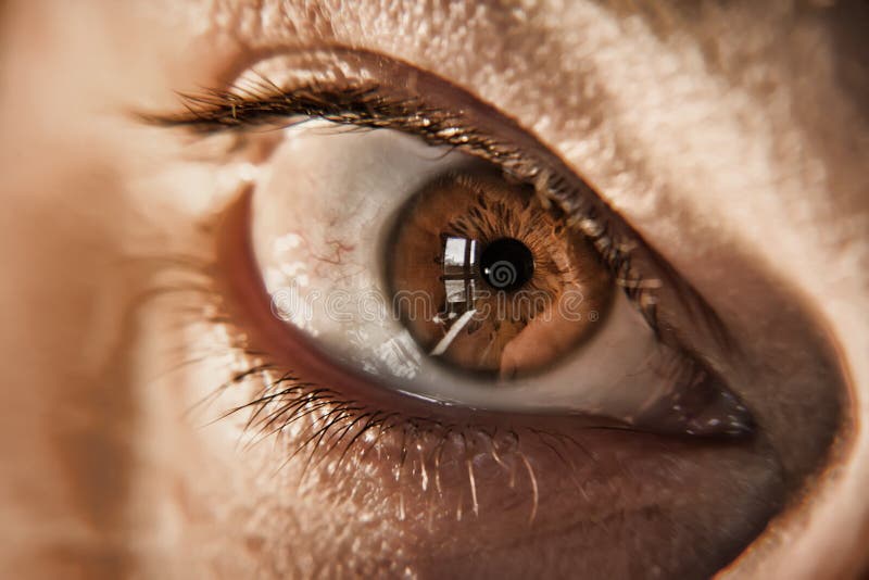Brown eye stock image. Image of healthy, iris, looking - 28625083