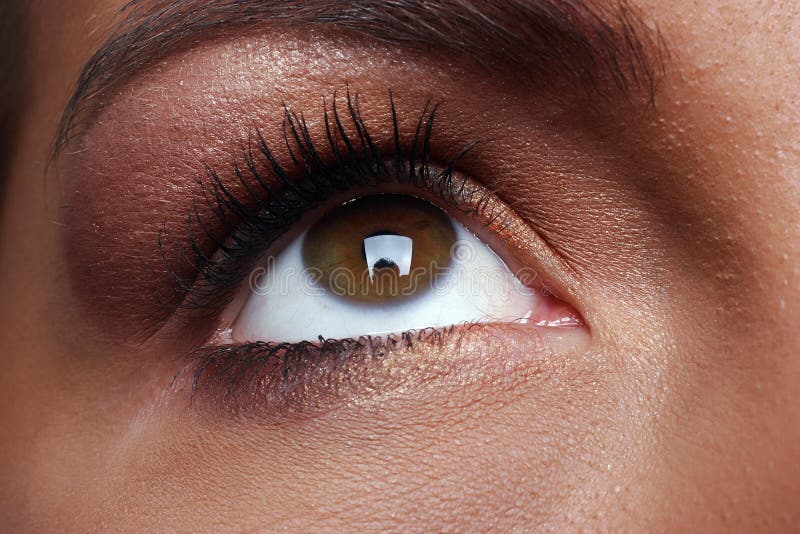 Brown eye stock image. Image of open, hole, view, eyeballs - 4997449
