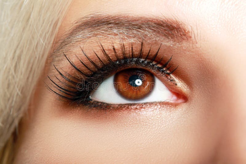 Brown eye stock image. Image of beauty, reflection, female - 67086227