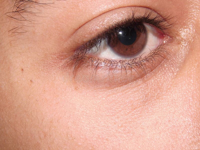 Brown Eye closeup stock photo. Image of magnification - 53360684