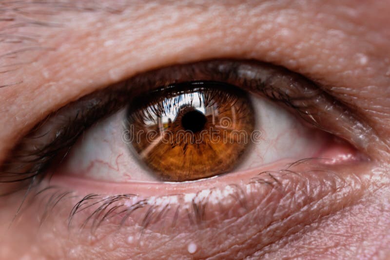 Brown Eye with Eyelash and Hazel Iris with a Reflection of Light Stock ...