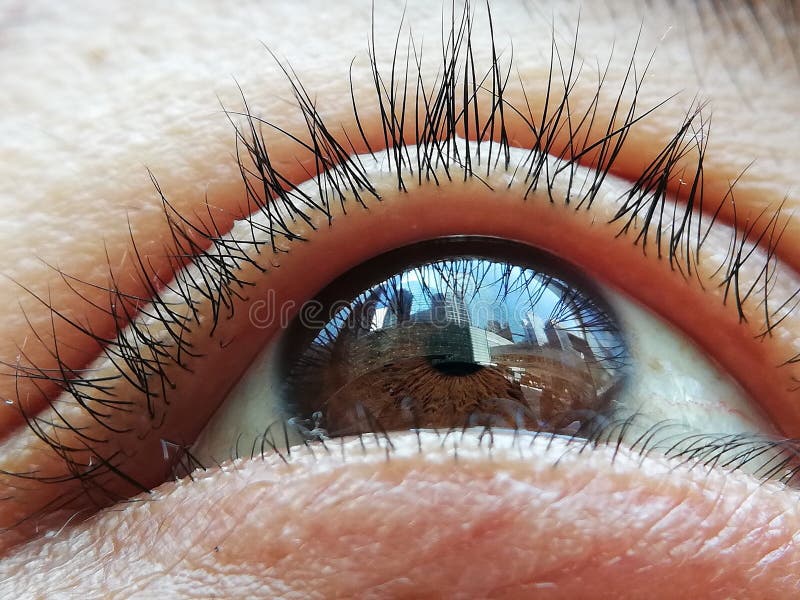 Brown eyes reflection stock photo. Image of hazel, macro - 134662904