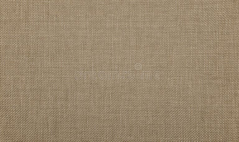 33,930 Brown Knit Choli Stock Photos - Free & Royalty-Free Stock Photos ...