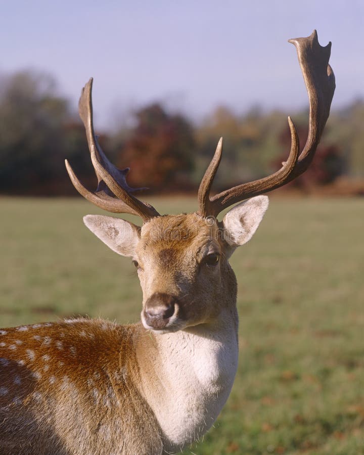 Picturebank Photo Library Ltd (Info167949) - Photographer profile